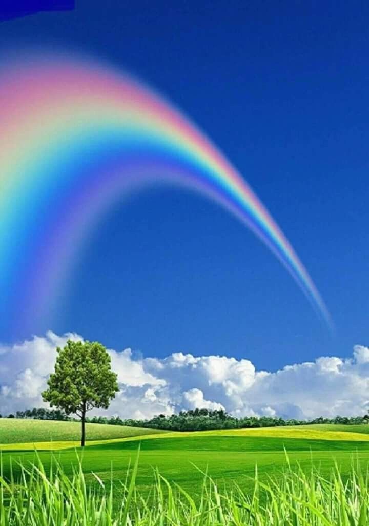 성경진리사역원(BTMK) | 구원받으셨습니까?